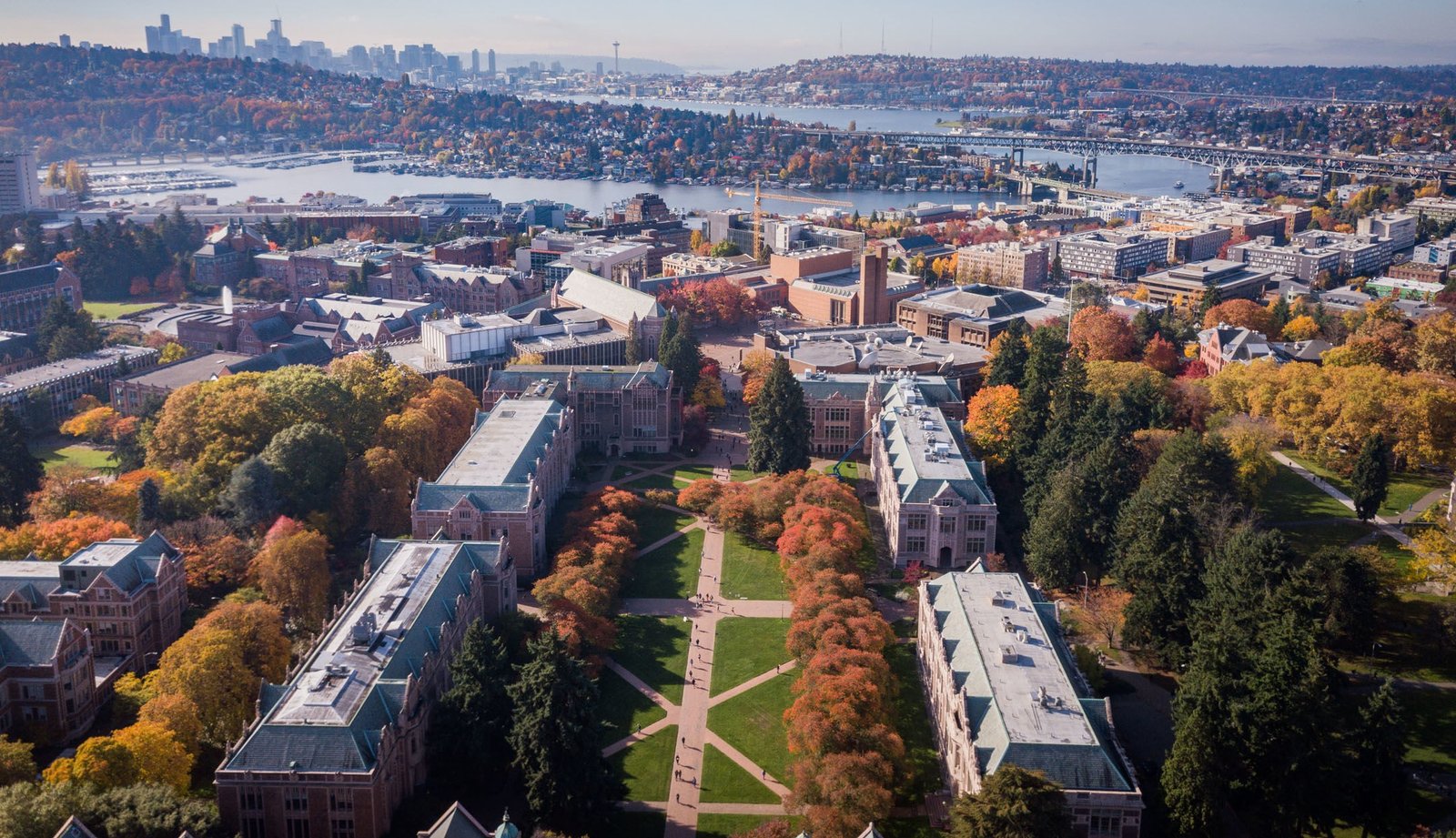 The U.S. College Sports System Explained: A Guide for Baltic Athletes ...